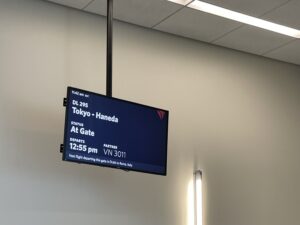 14 Hours On Delta Airlines: Full Review Of Delta’s Economy Class From ...