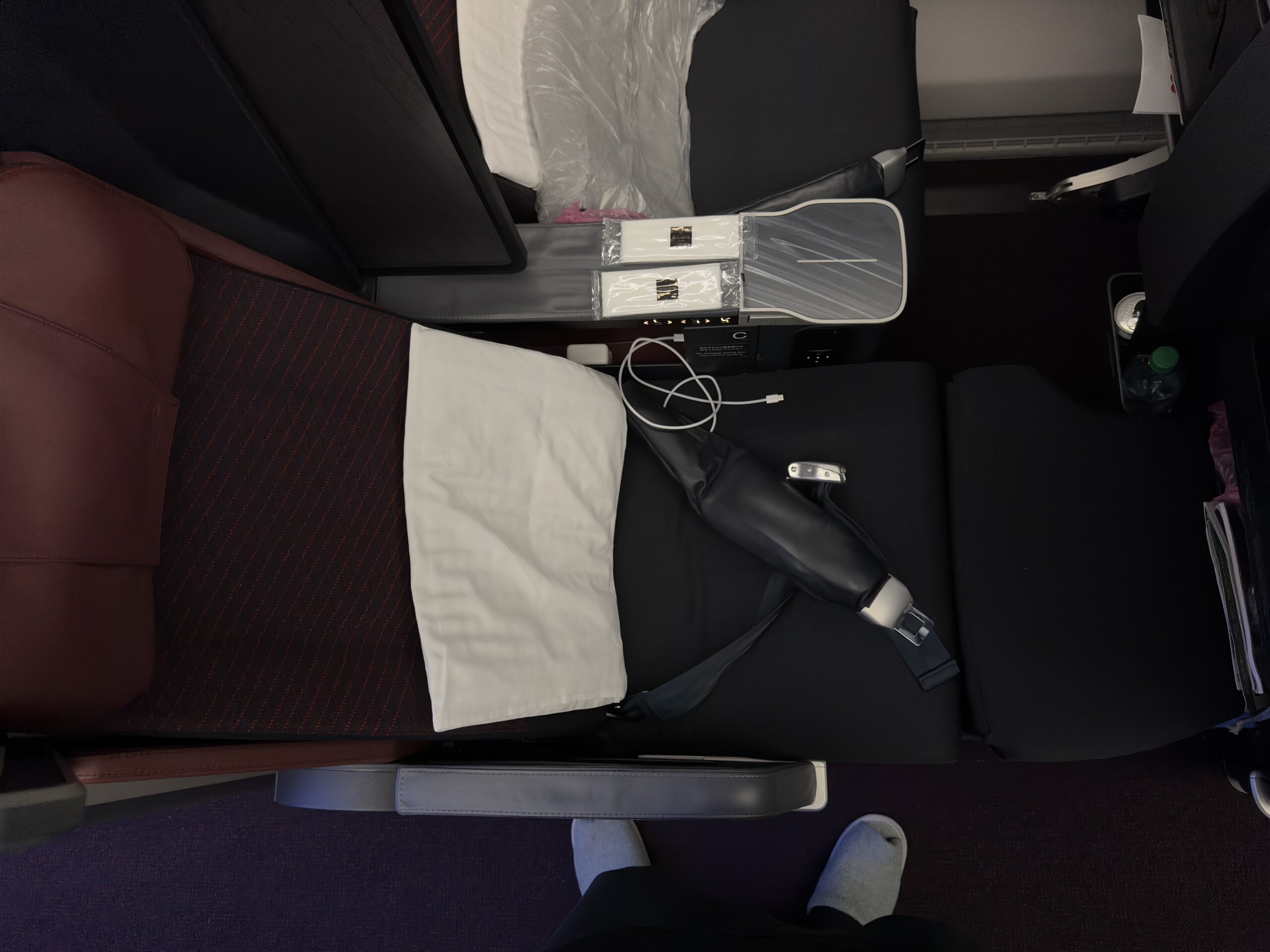 3 Things on the New Japan Airlines Premium Economy Seats That Impressed ...