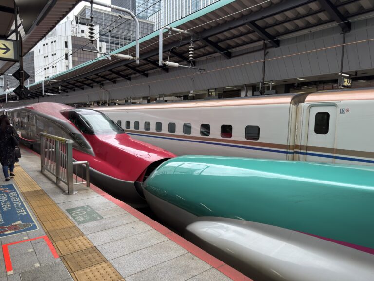 Limousine Bus From Haneda Airport: A Full How-To Guide - Altitude Yes