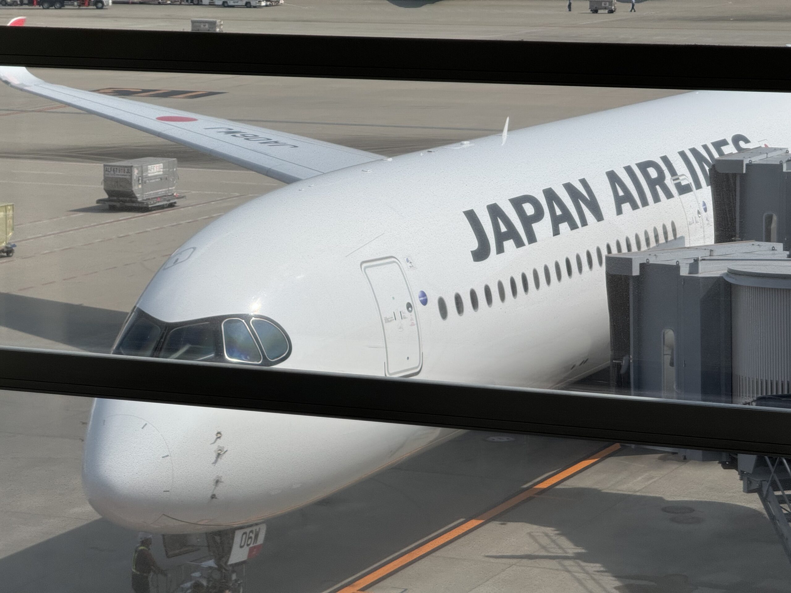 Airbus A350 Damage Forces Japan Airlines to Delay, Cancel Long-Haul ...