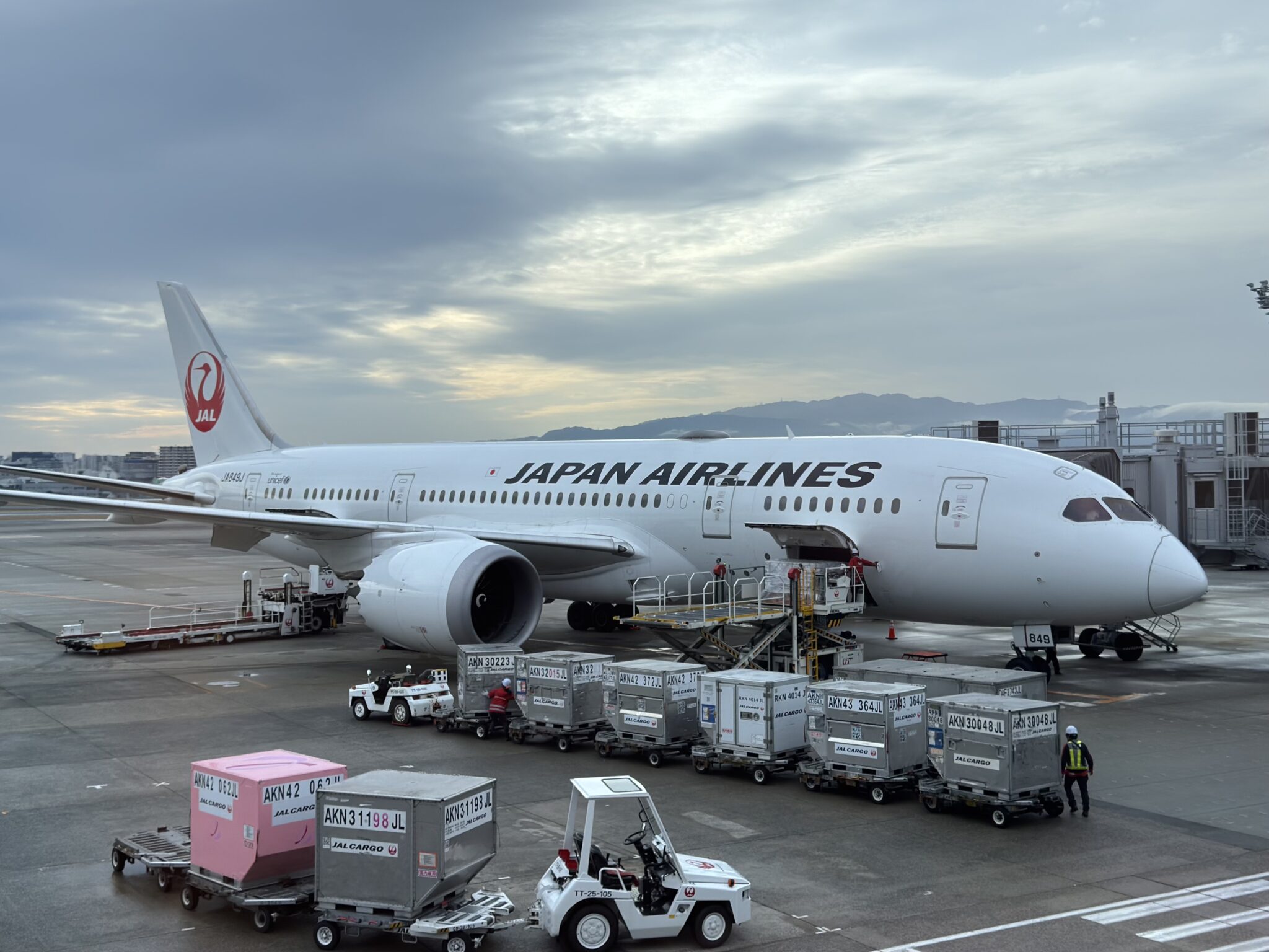 Japan Airlines Promotes an Insane 0 Nights, 3 Days Trip From Tokyo to ...